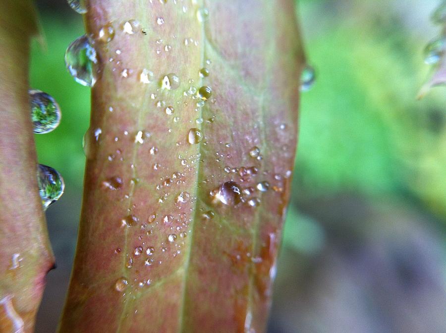 Gravity Photograph by Gregg Marks - Fine Art America