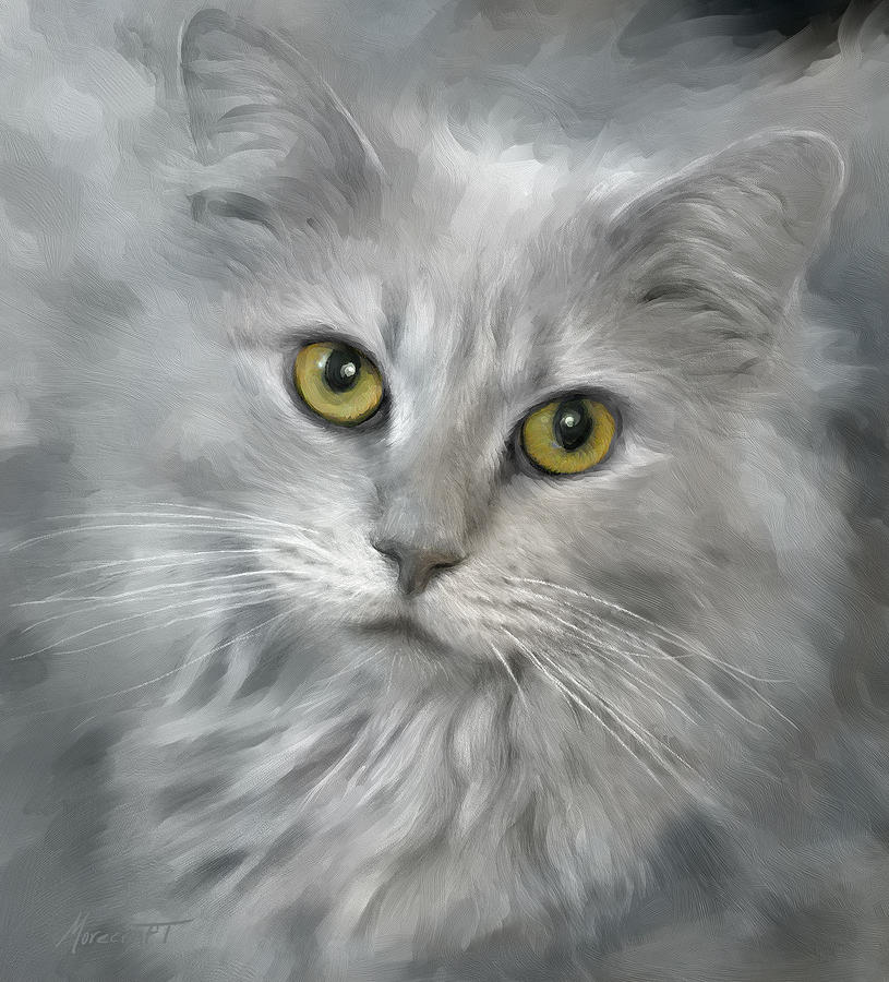 Gray Tabby Digital Art by Ron Morecraft - Fine Art America
