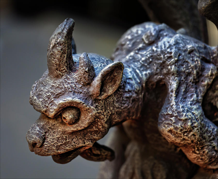 Halloween Gargoyle Photograph by Robert Ullmann - Fine Art America