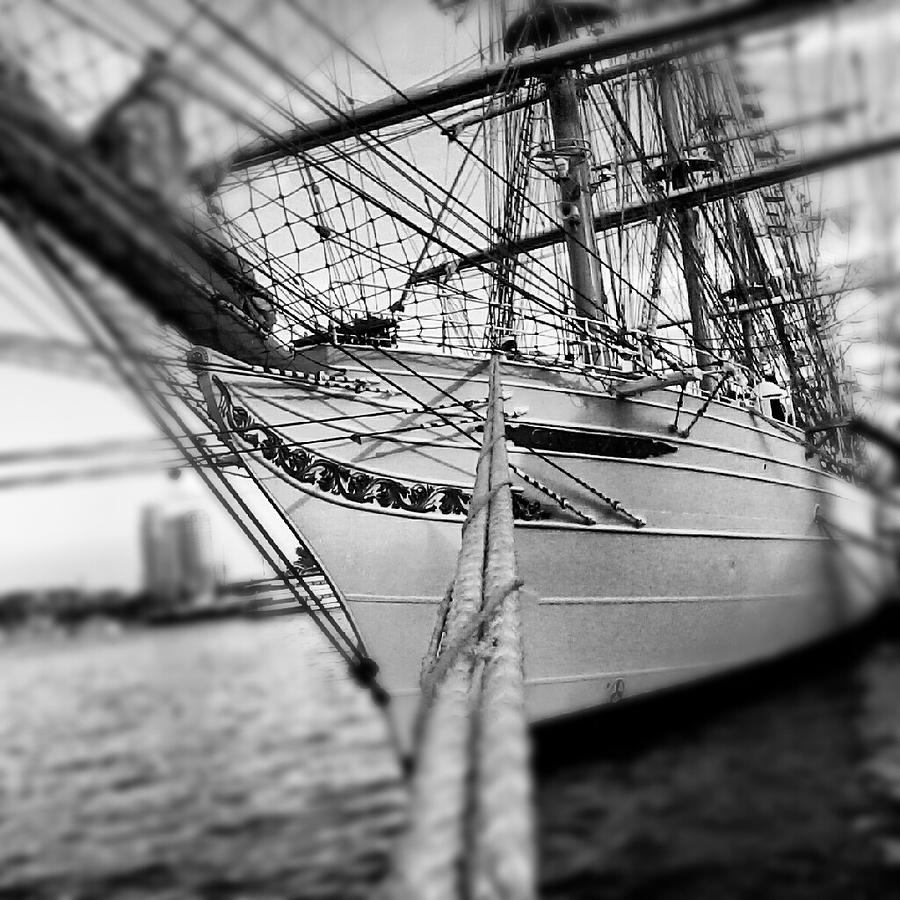 Harbor Docking Photograph by Danny Smith - Fine Art America