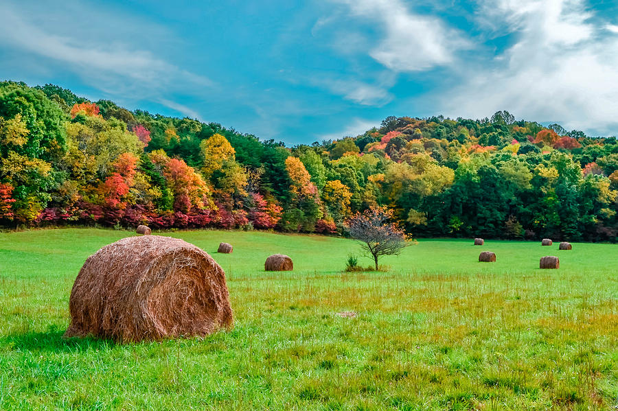 Hay wheels Photograph by Brian Stevens - Fine Art America