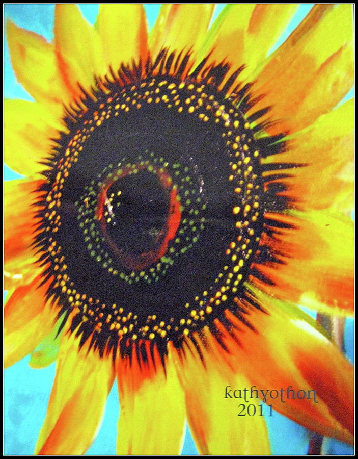 Hello Sunflower Painting by Kathy Othon - Fine Art America