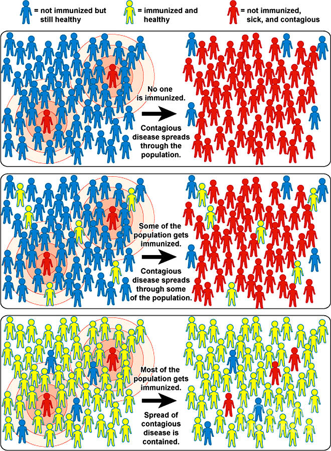 Herd Immunity Photograph by Science Source - Fine Art America