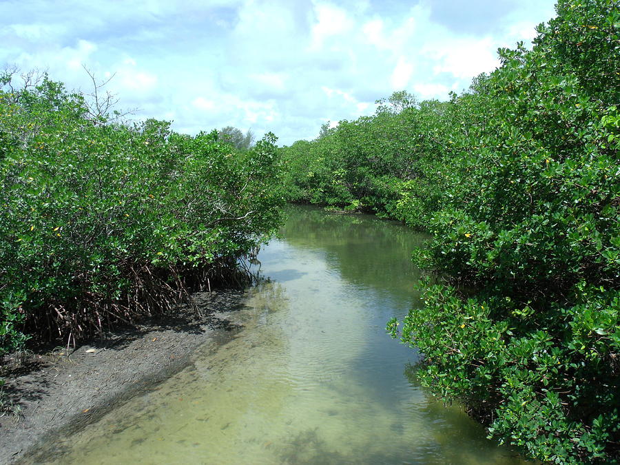 Hidden River Photograph by Zack Mann - Pixels