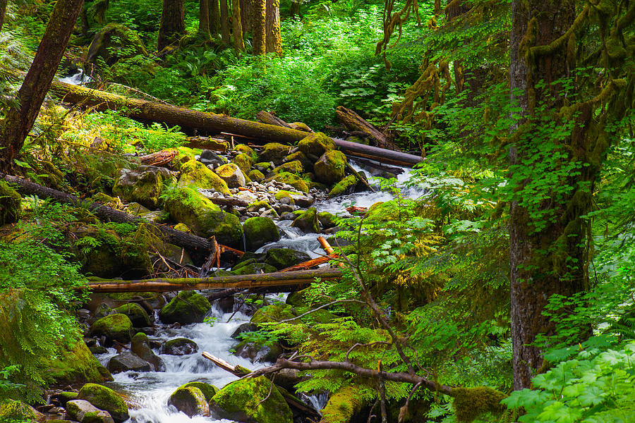 Hidden Spring Photograph by Kai Yoshisato - Pixels