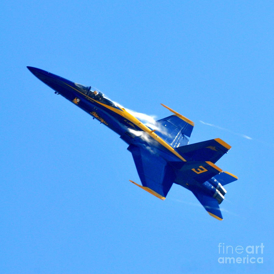 High Flyer Photograph by Red Wheeler - Fine Art America