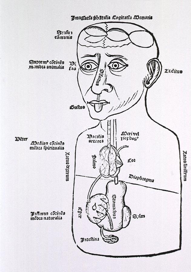 Human Figure, Half-length, With Some Photograph by Everett - Fine Art ...
