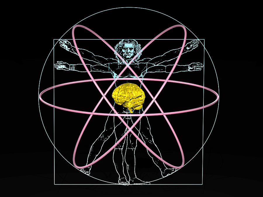 Human Intelligence Photograph by Laguna Design - Fine Art America