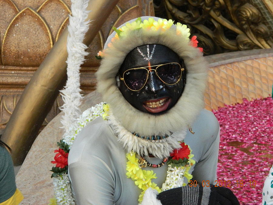 Human Monkey Photograph by Vishal Bansall - Fine Art America