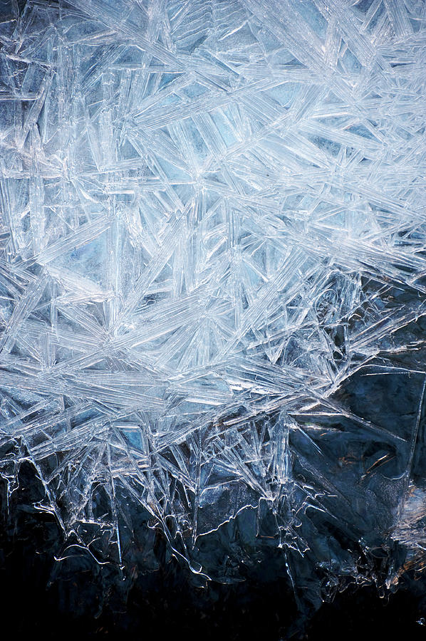Ice Crystal Patterns Photograph by Skye Hohmann