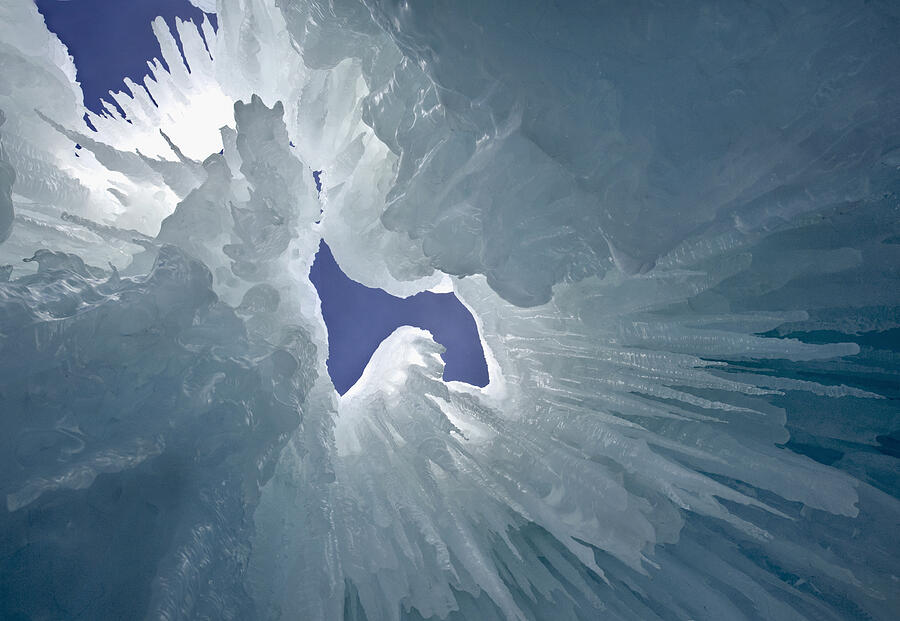 Ice Eagle Photograph by Randall Roberts - Fine Art America