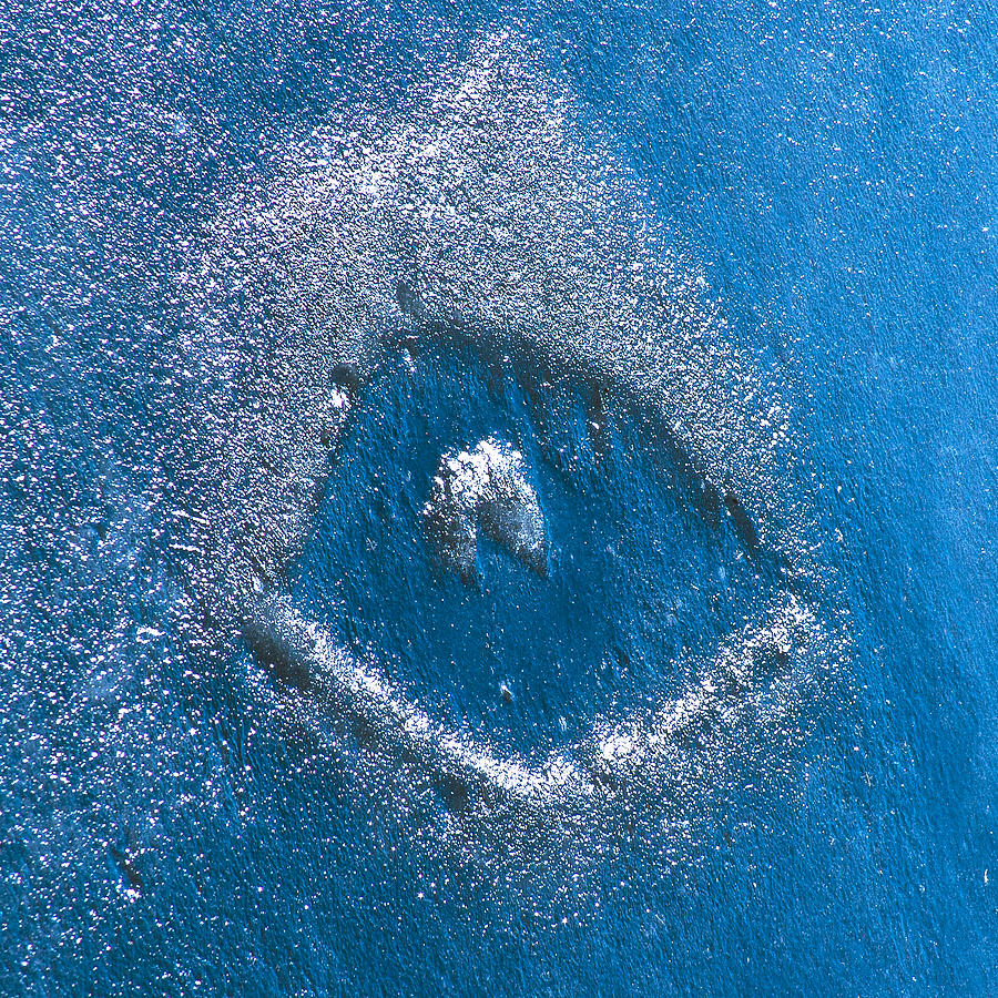 Ice Eye Photograph by Richard Reid - Fine Art America