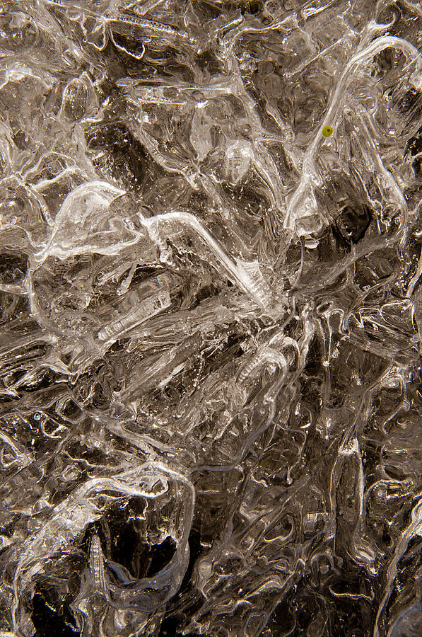 Ice patterns Photograph by Earl Nelson - Pixels
