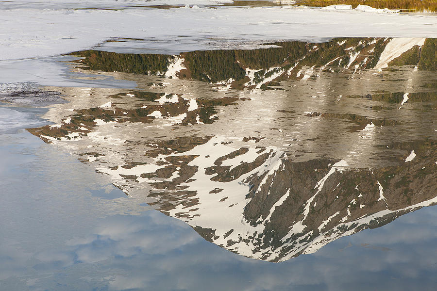 Icy Reflections Photograph by Tim Grams | Fine Art America