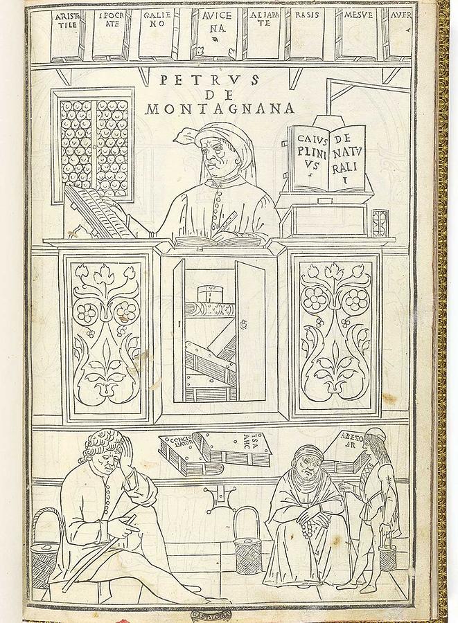 Illustration Showing The Breadth Photograph by Everett - Pixels