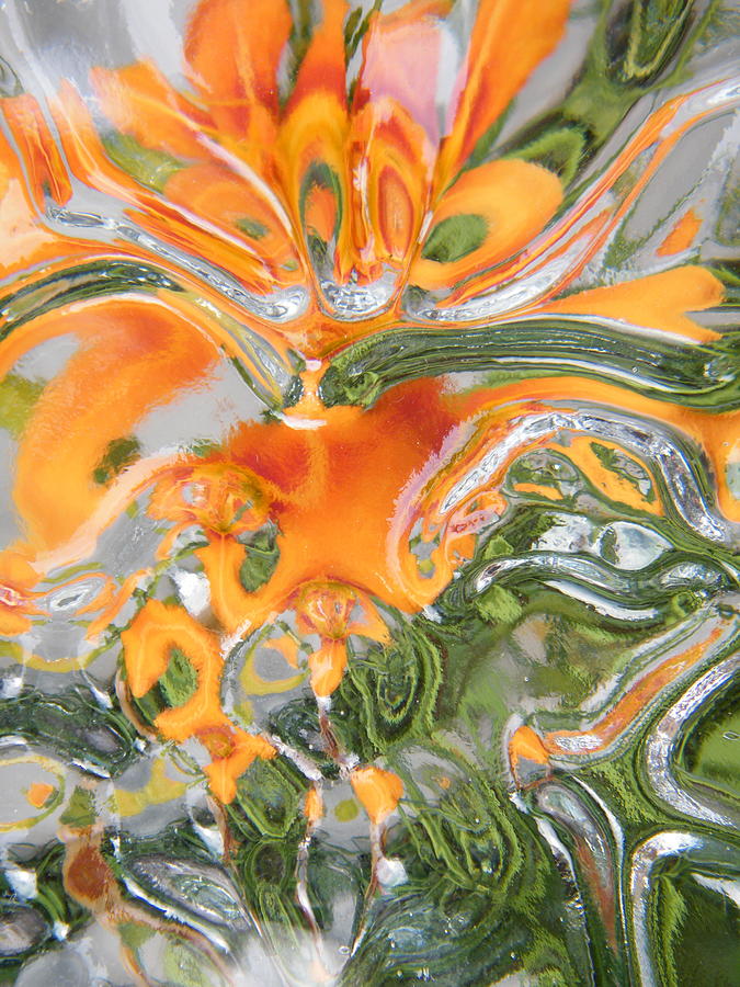 Imploding Day Lily Photograph by Mary Sedivy - Fine Art America