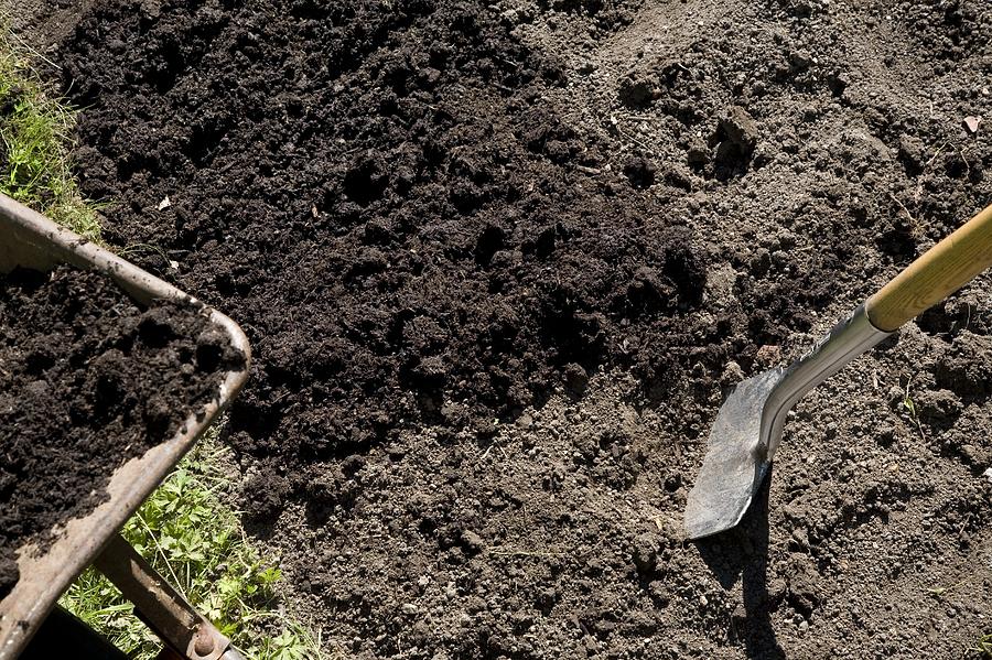 Improving Soil Structure Photograph by Sheila Terry - Fine Art America