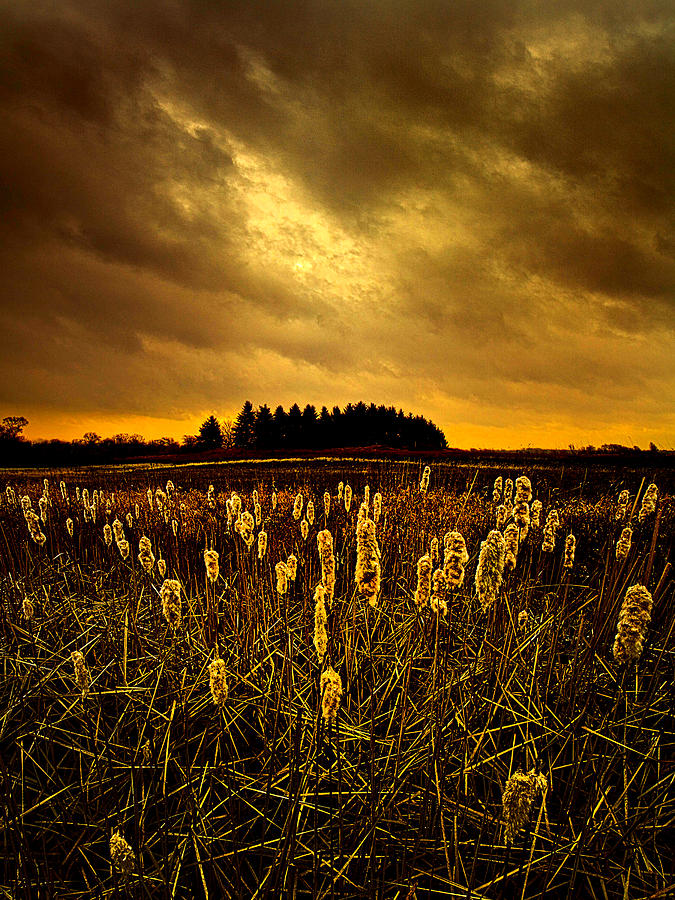 Inbetween Photograph by Phil Koch - Pixels