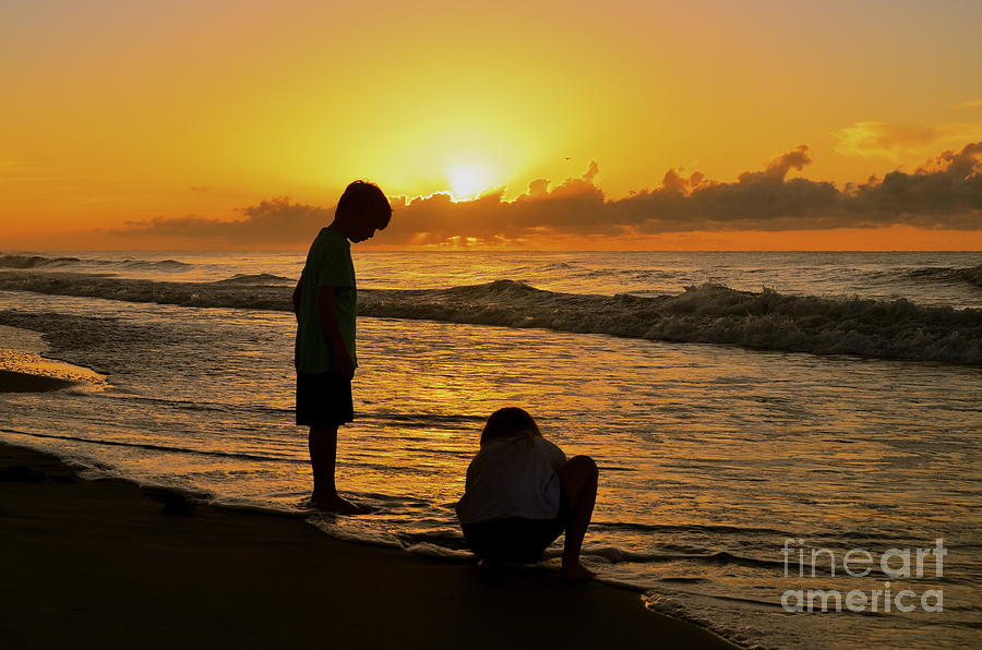 Inquisitive Photograph by Anthony Stephens - Fine Art America