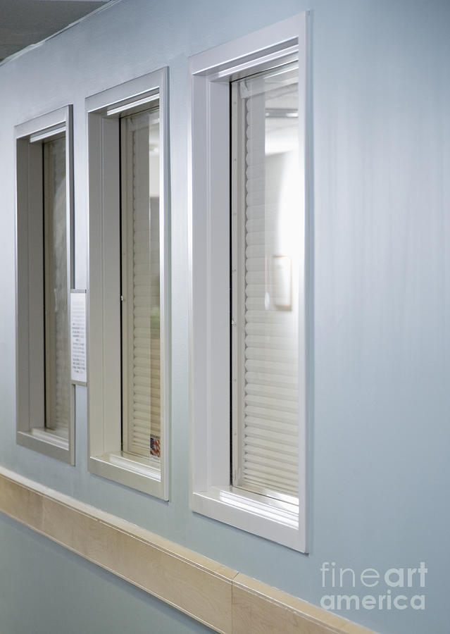 Interior Windows Photograph by Andersen Ross - Pixels