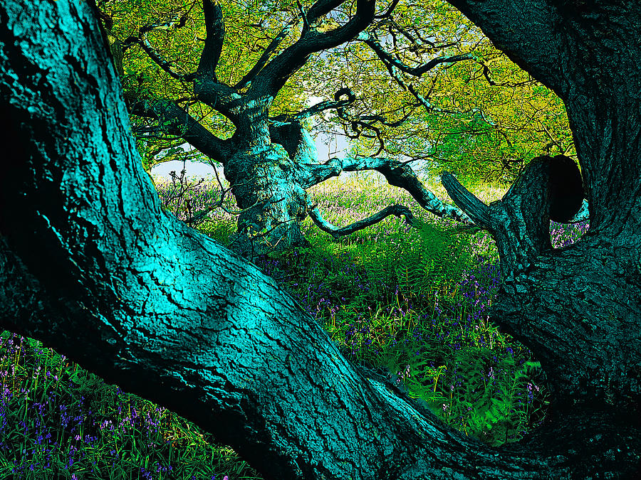 Interwebs Digital Art by Eric Ledford - Fine Art America