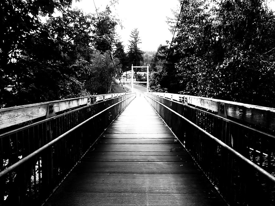 Jacob's Path Photograph by Amy Harrison - Fine Art America