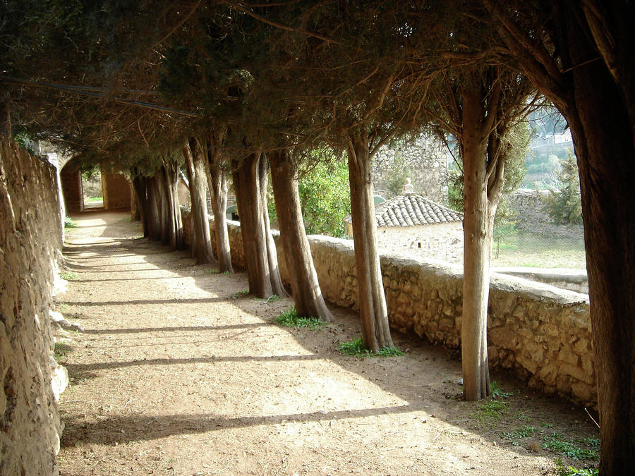 Jerusalem Pathway Photograph by Ron Cantrell - Pixels