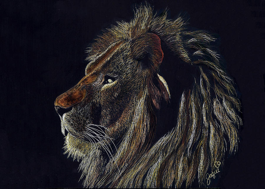 Kingly Drawing by Jaqui Michells - Fine Art America