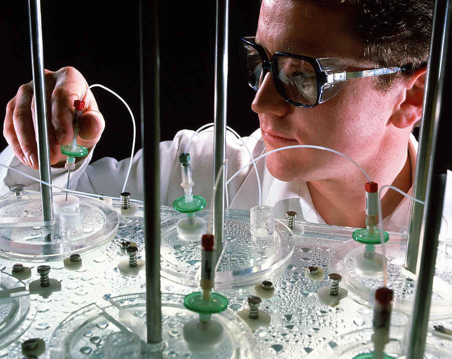 Lab Technician Checking Drug Dissolution Test Photograph by Geoff ...