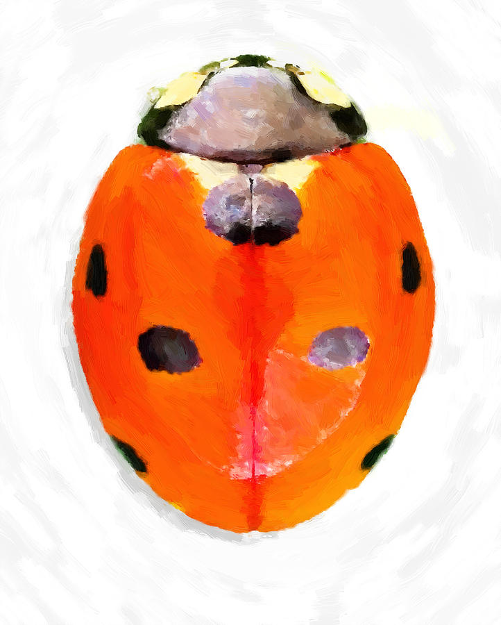 Ladybug Digital Art by D Plinth - Fine Art America