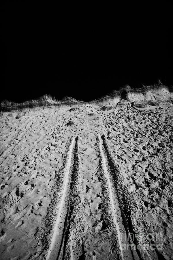 Lagg Sand Dunes Five Finger Strand County Donegal Ireland Photograph by ...