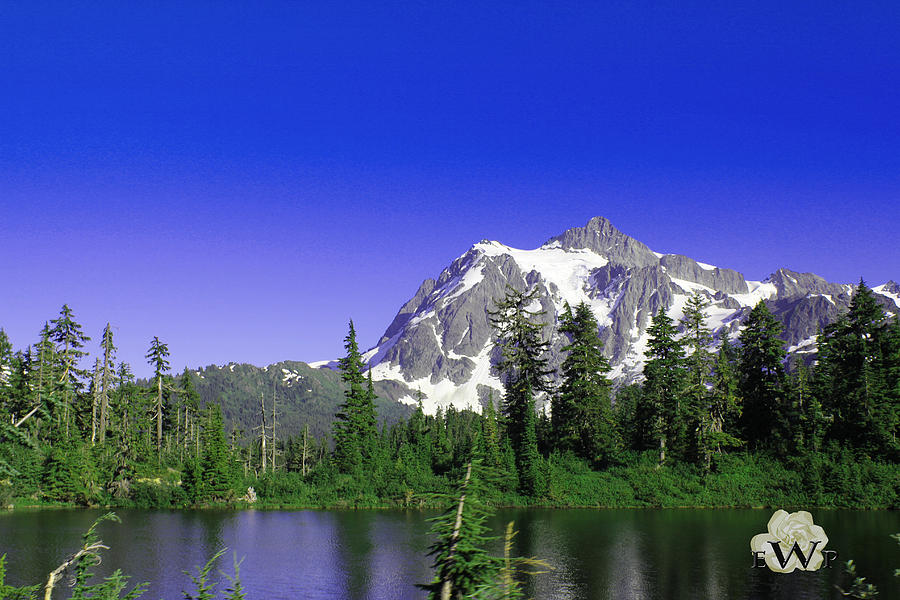 Lakeside view Mt. Baker Photograph by Eileen Winton - Fine Art America