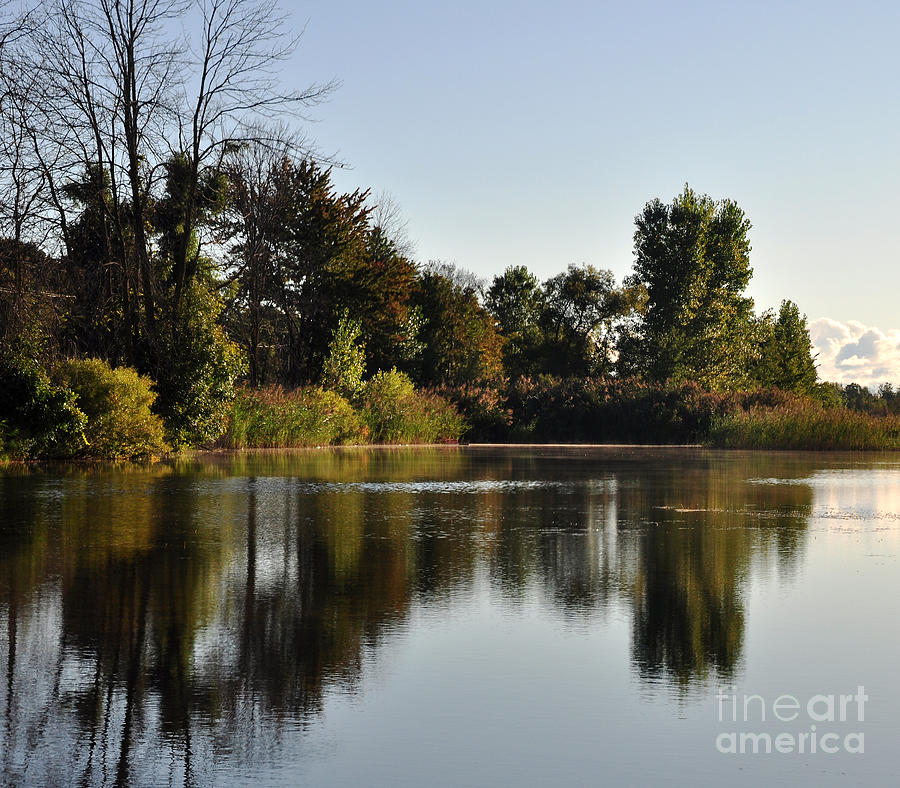 Late Summer Reflections Photograph by Ginger Harris - Fine Art America