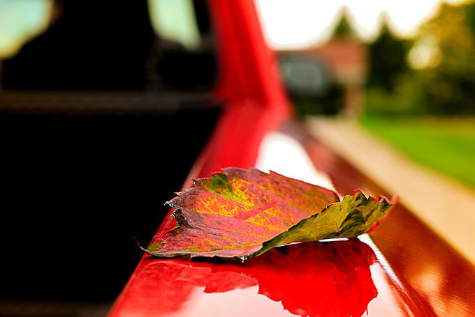 Leaf pickup Photograph by Mark Dottle - Fine Art America