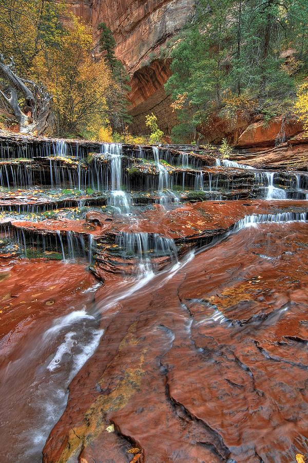 Left Fork Cascade Photograph by William Chapman - Fine Art America
