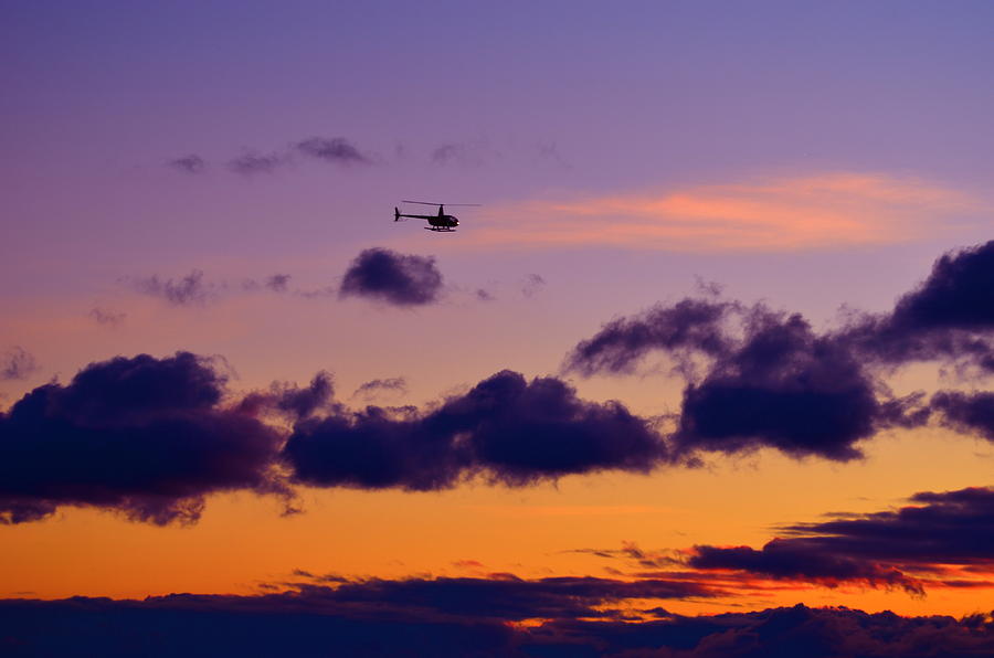 Light Flight Photograph by Robert Evans - Fine Art America