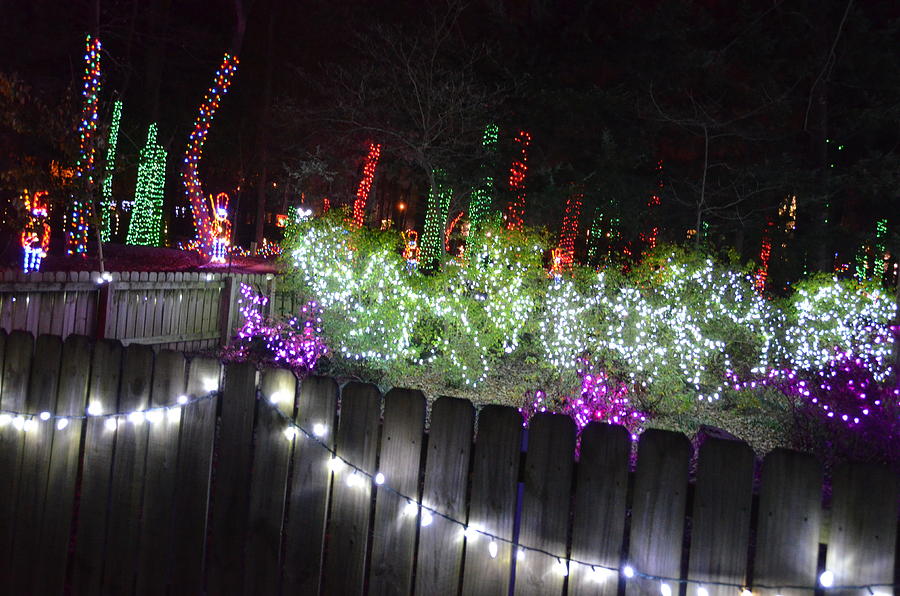 Gellase And Stacy Friends Together Polar Lights Bobs And Gellase And Stacy Friends Together Polar Lights Bobs And