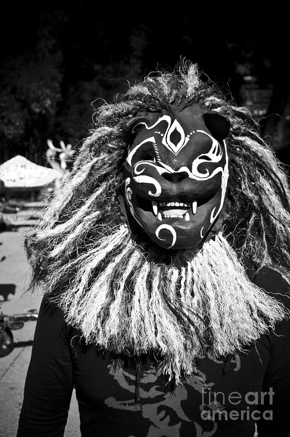 Lionized Photograph by L E Jimenez - Fine Art America