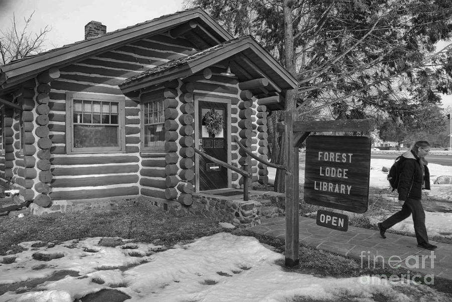 Log Cabin Library