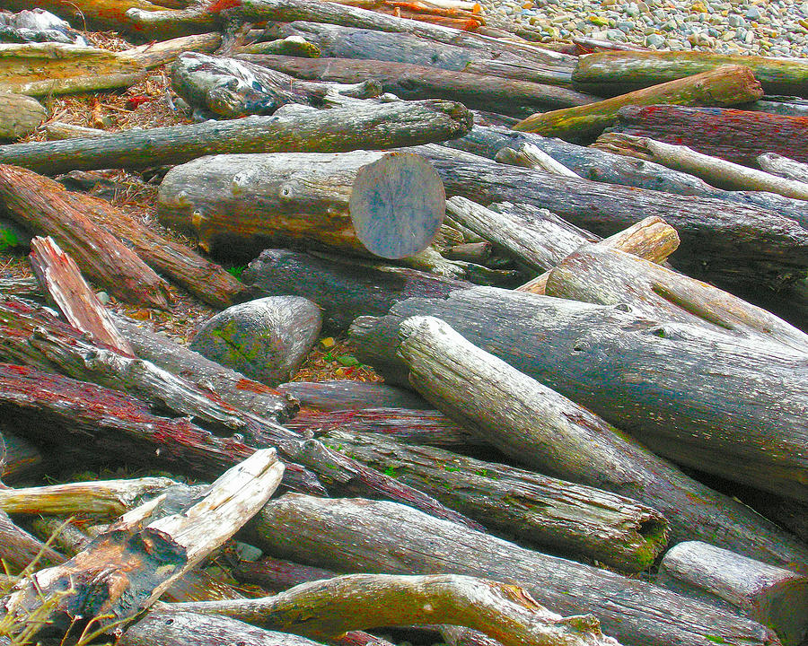 Log Jam Photograph by Steve Alcombrack - Fine Art America