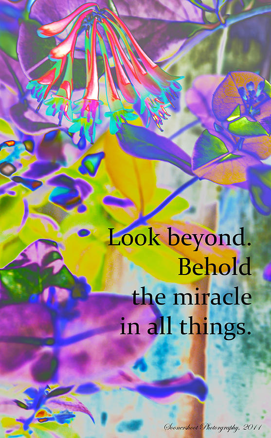 Look beyond Photograph by Bruce Baker - Fine Art America