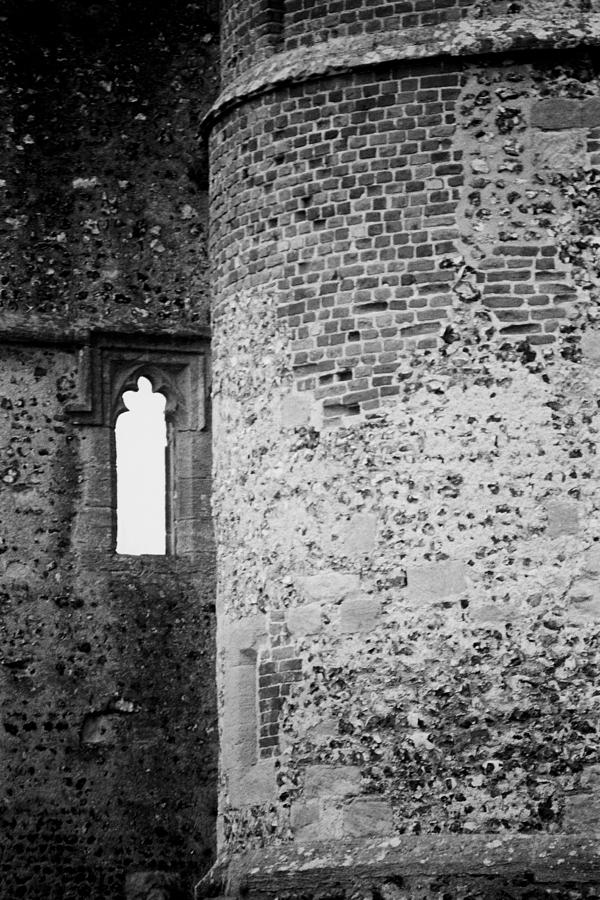 Looking Out Photograph by Michael Meza - Fine Art America