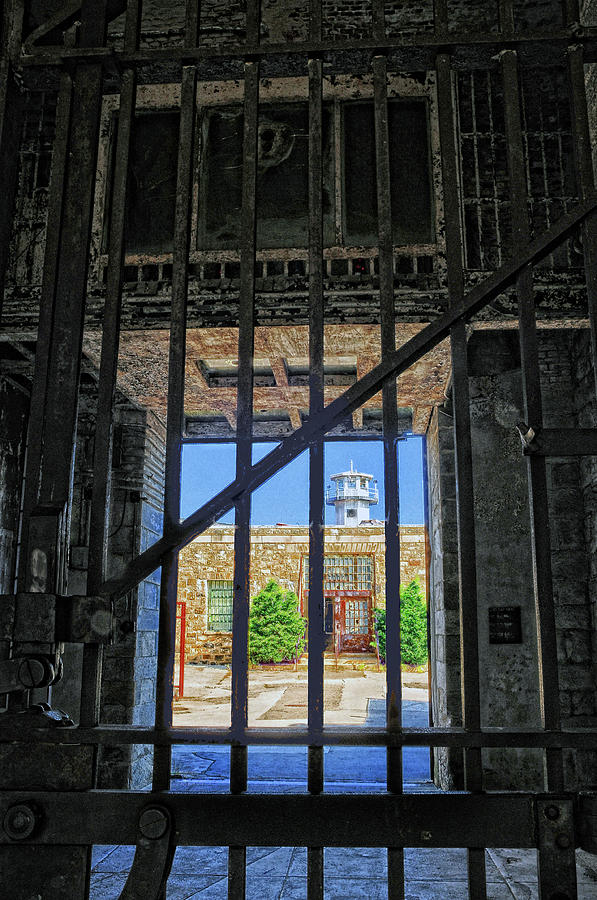 Looking Through the Bars Photograph by Dave Mills - Fine Art America