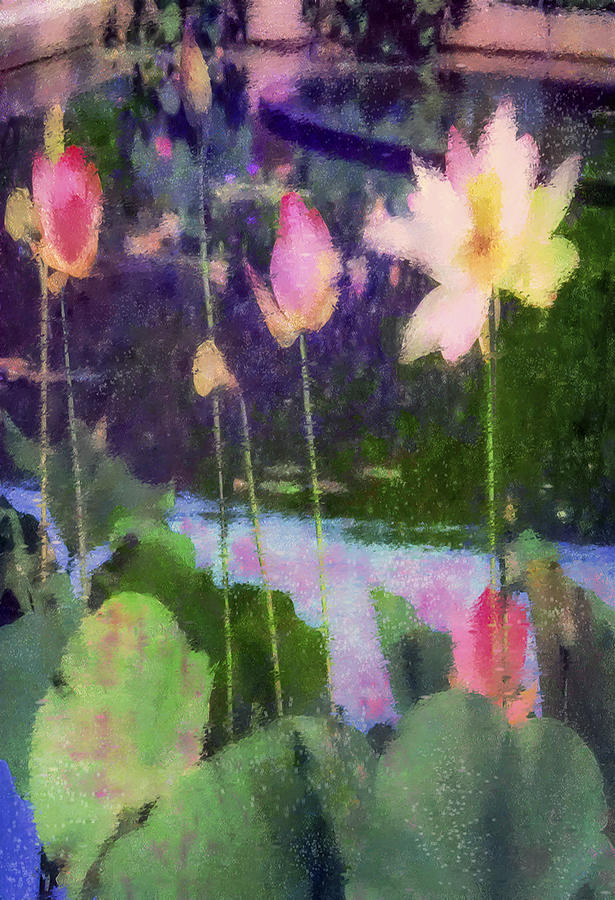 Lotus Reflection - Vertical Digital Art by Jill Balsam - Pixels