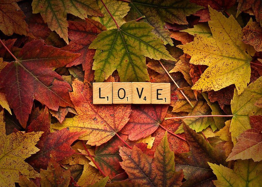 Love-autumn Photograph by Onyonet Photo Studios