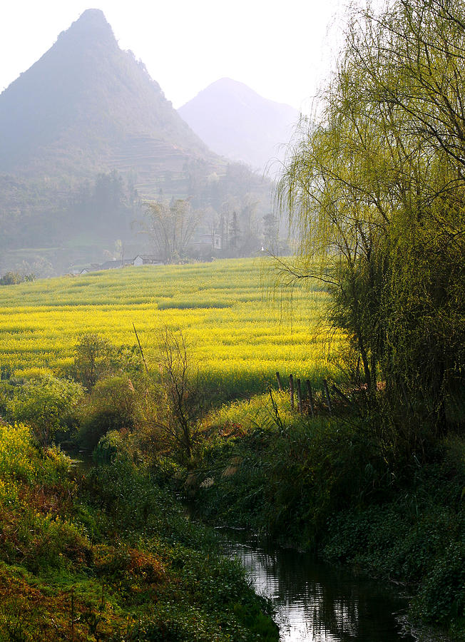 Luoping 1 Photograph by Barnaby Chambers - Fine Art America