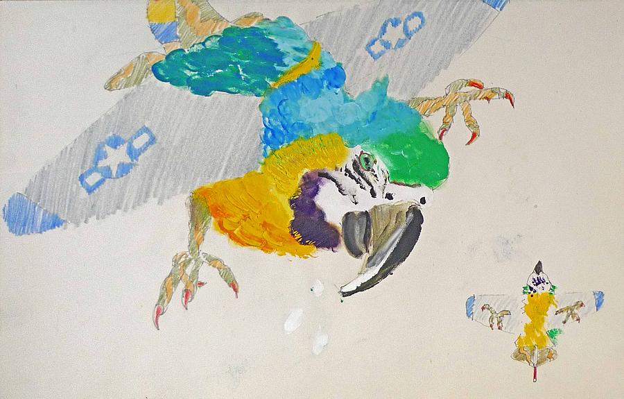 Macaw Plane Drawing by Virginia Stuart - Fine Art America