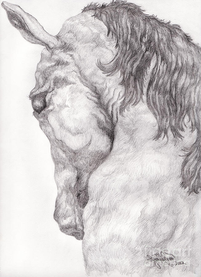Magnus Drawing by Authentic Occurrence - Fine Art America