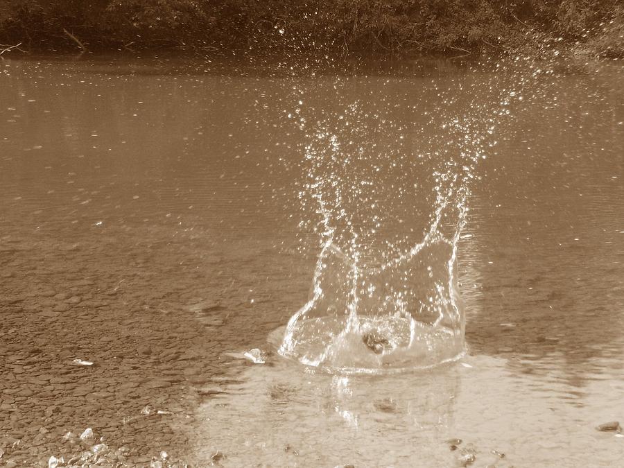 Make a Splash Photograph by Ashley Beeman - Fine Art America