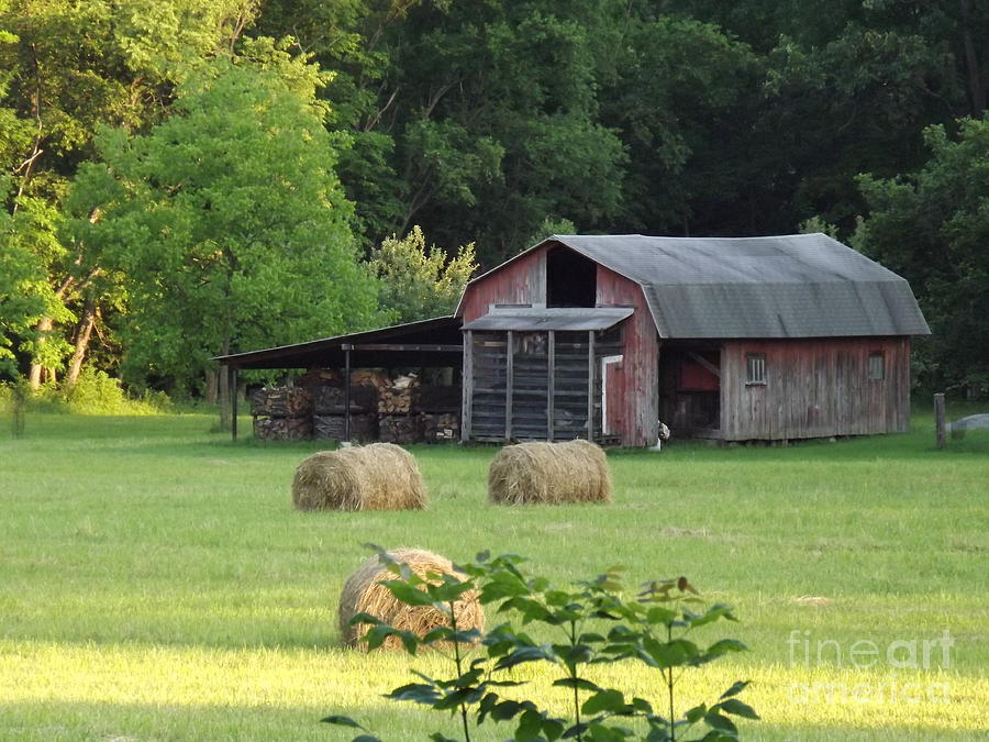 Making Hay Photograph by Chad Thompson - Pixels
